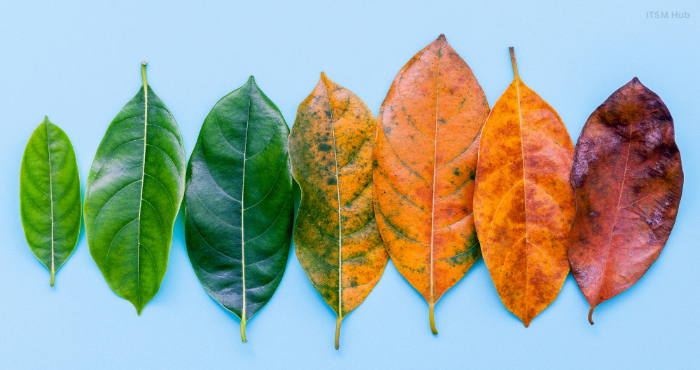 Why Change Management Certification is a Career Accelerator in 2026 ...